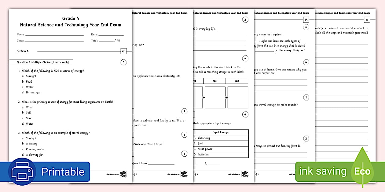 Grade 4 Natural Science and Technology Year-End Exam