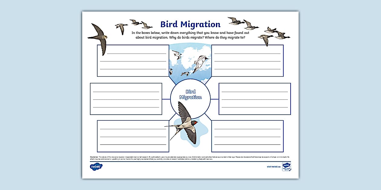 Bird Migration Mind Map (Teacher-Made) - Twinkl
