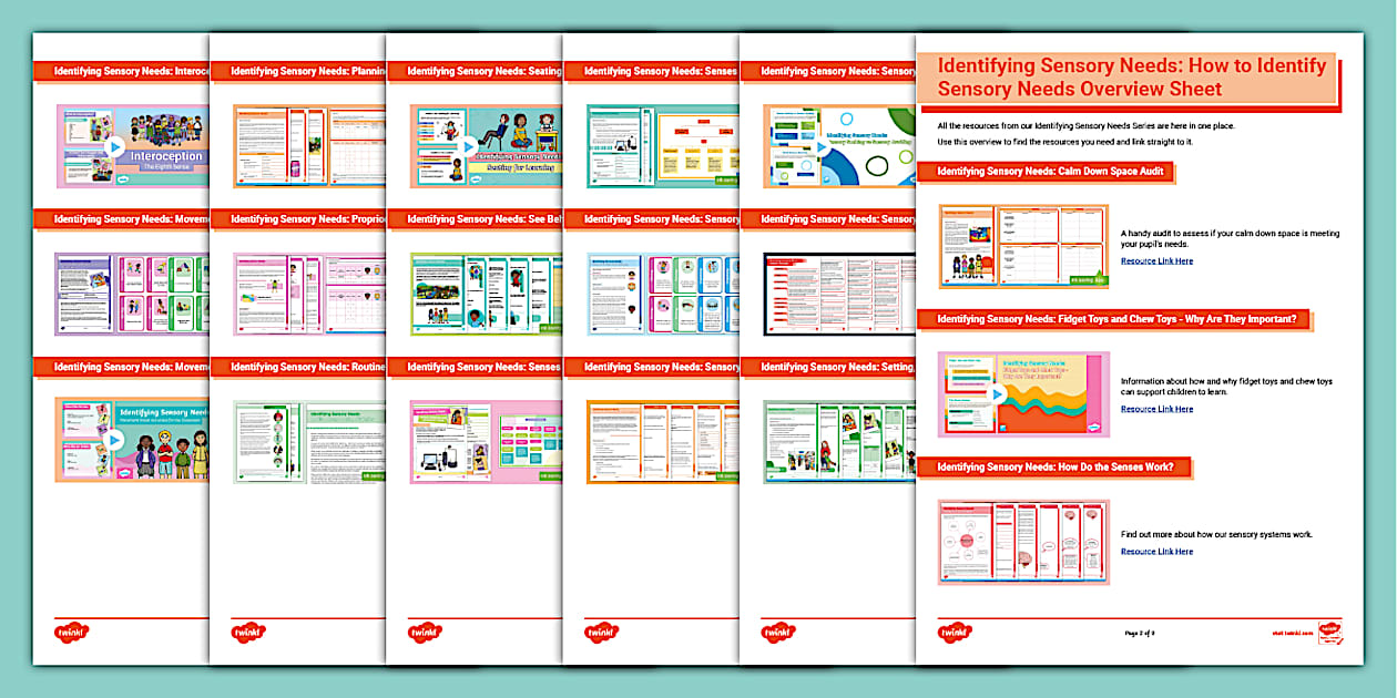Identifying Sensory Needs: Overview Sheet (Teacher-Made)