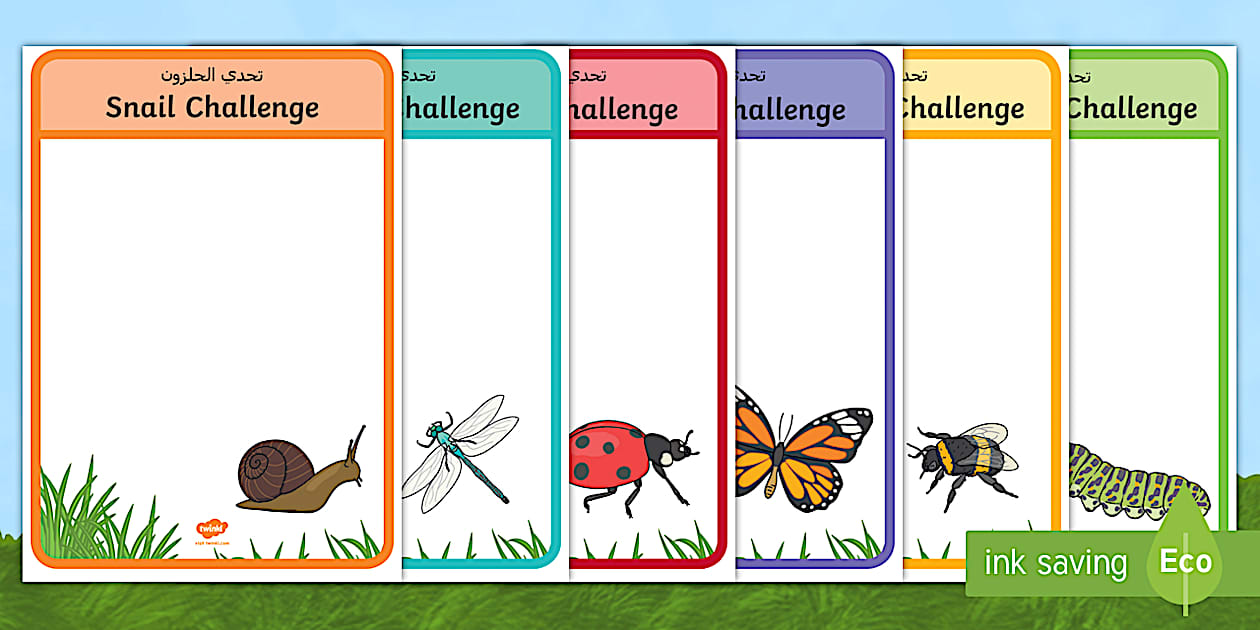 Editable Minibeast Themed Blank Challenge Display Posters Display Posters