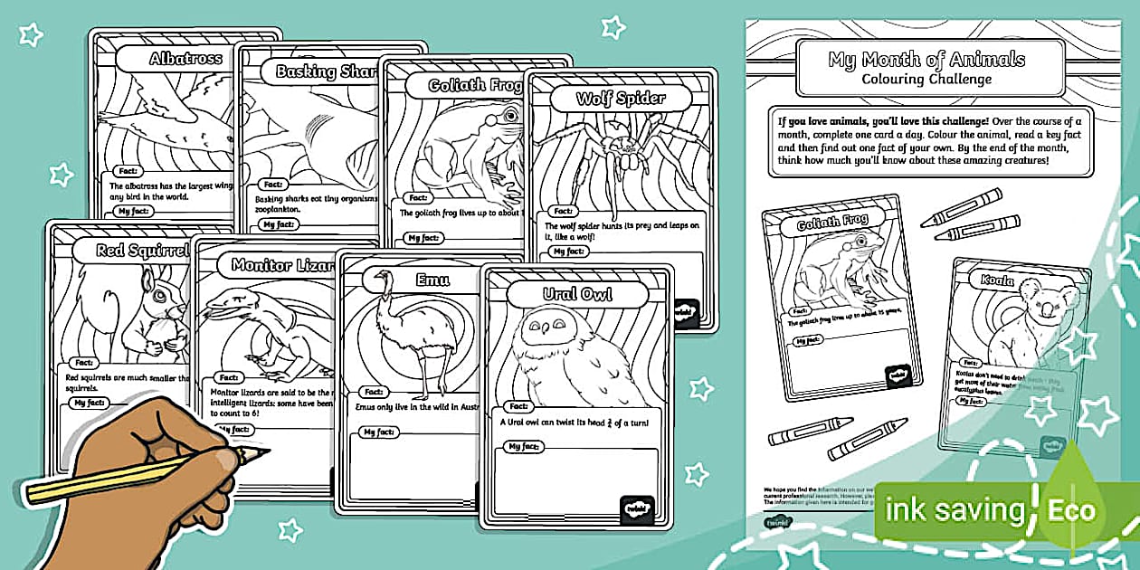 My Month of Animals Colouring Challenge (Ages 5 - 7)