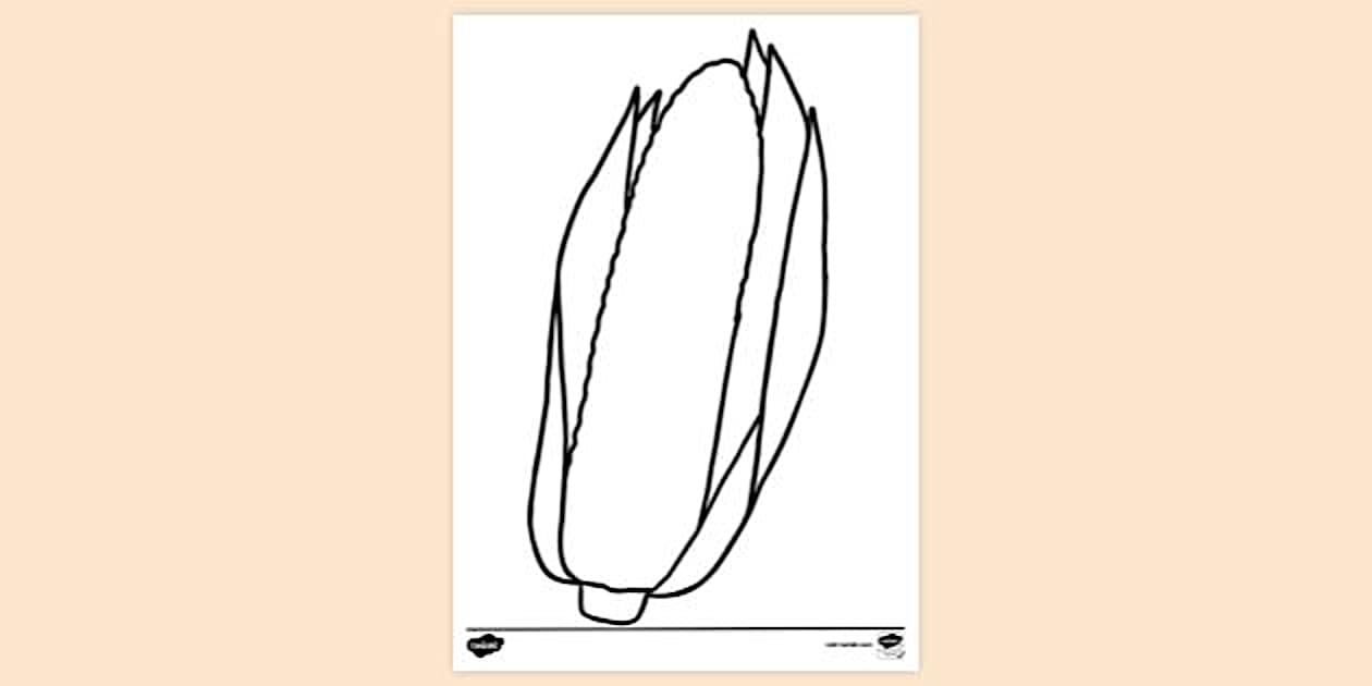 Corn Colouring Sheet | Colouring Sheets (teacher made)