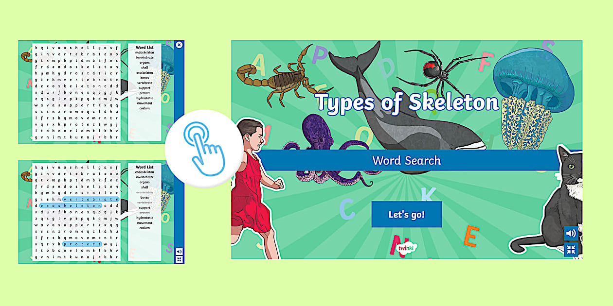 * NEW * Types of Skeleton Interactive Word Search - Twinkl