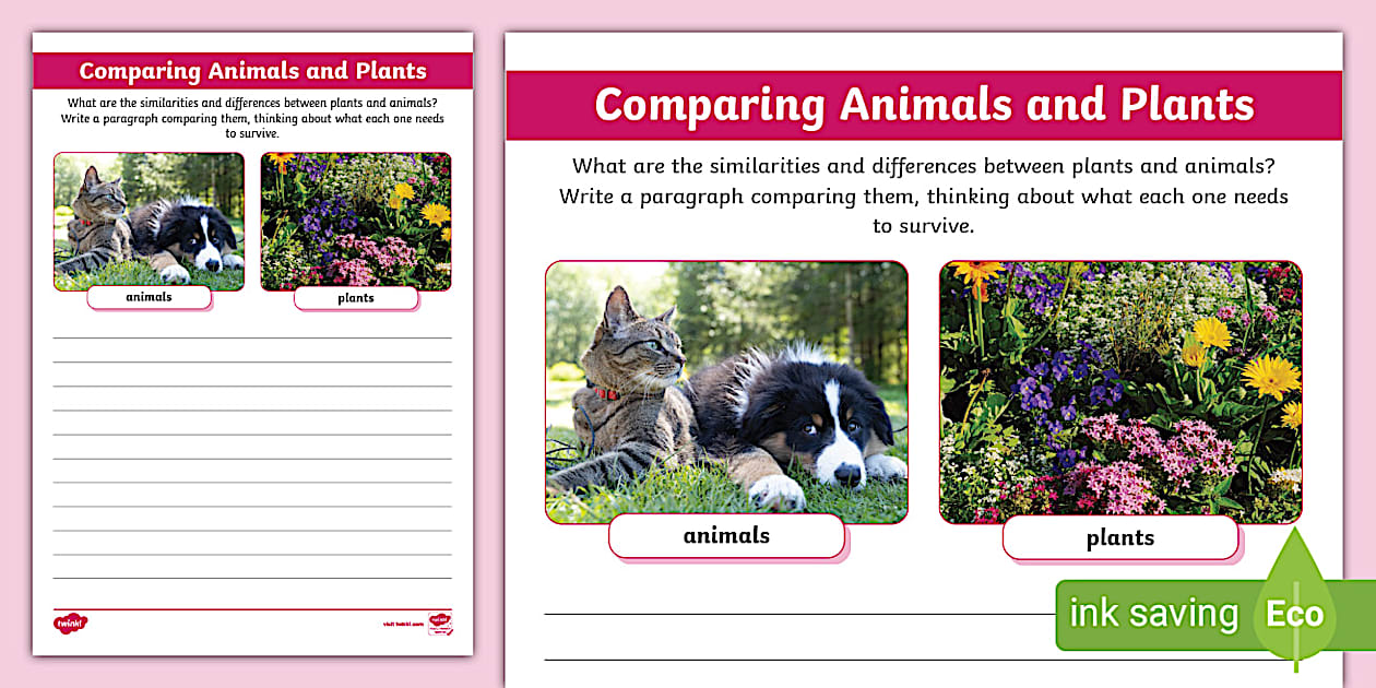 Comparing Animals and Plants Writing Activity (teacher made)