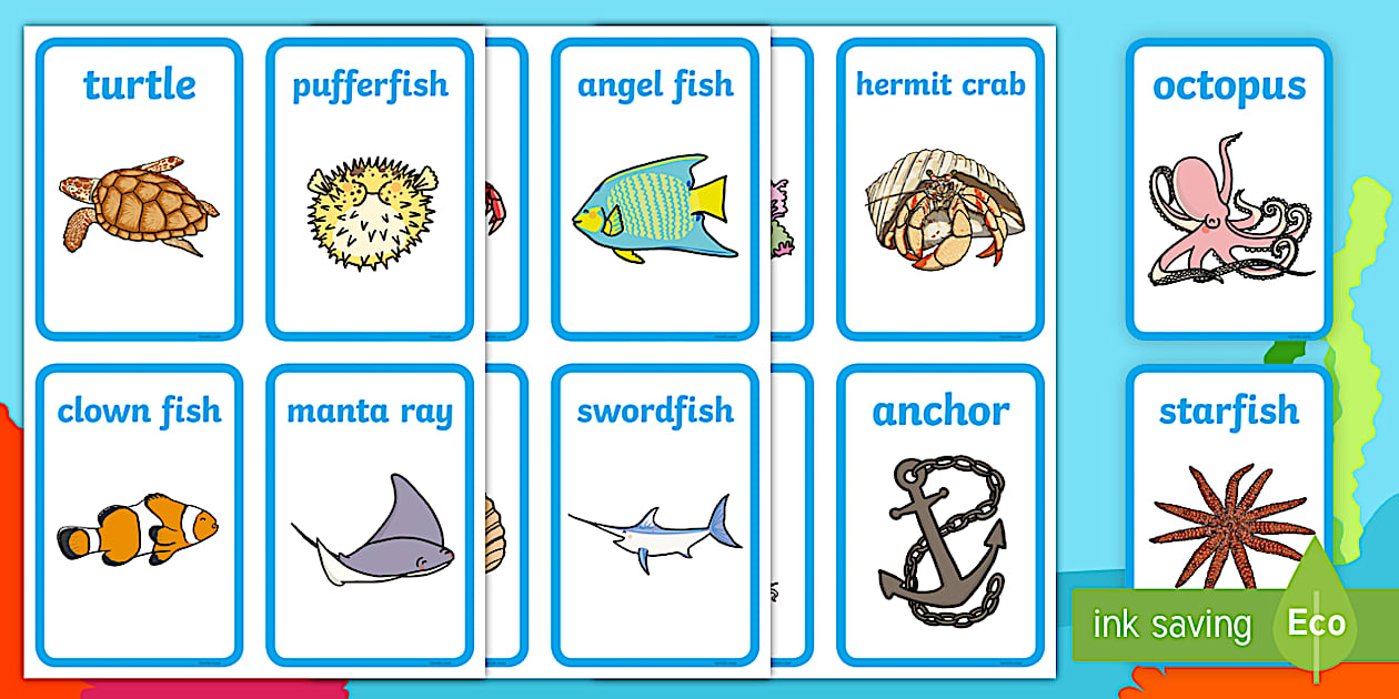 Sea Animals Flashcards | Under the Sea | Teaching Resources