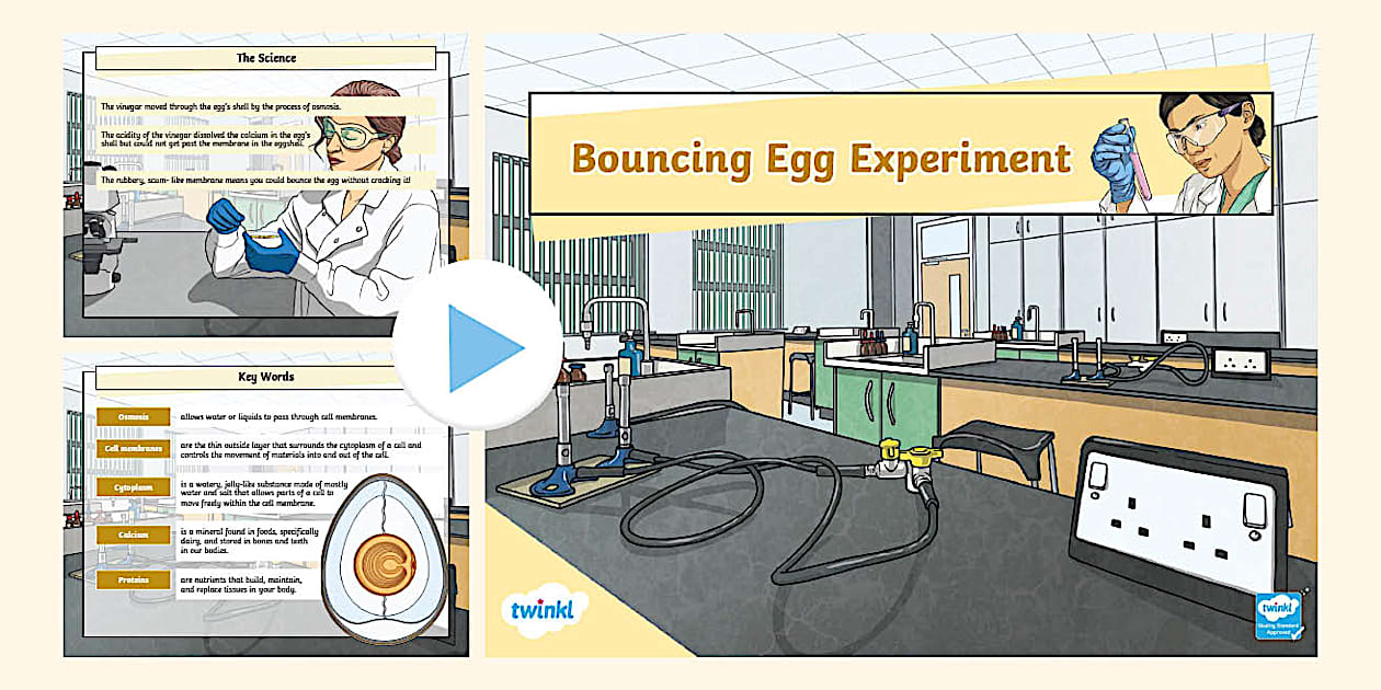 Bouncing Egg Experiment PowerPoint (teacher made) - Twinkl