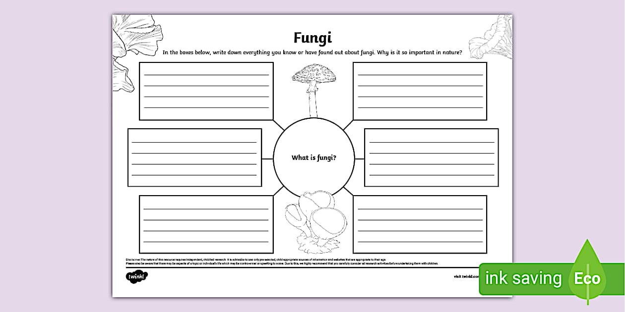 Fungi Mind Map (teacher made) - Twinkl