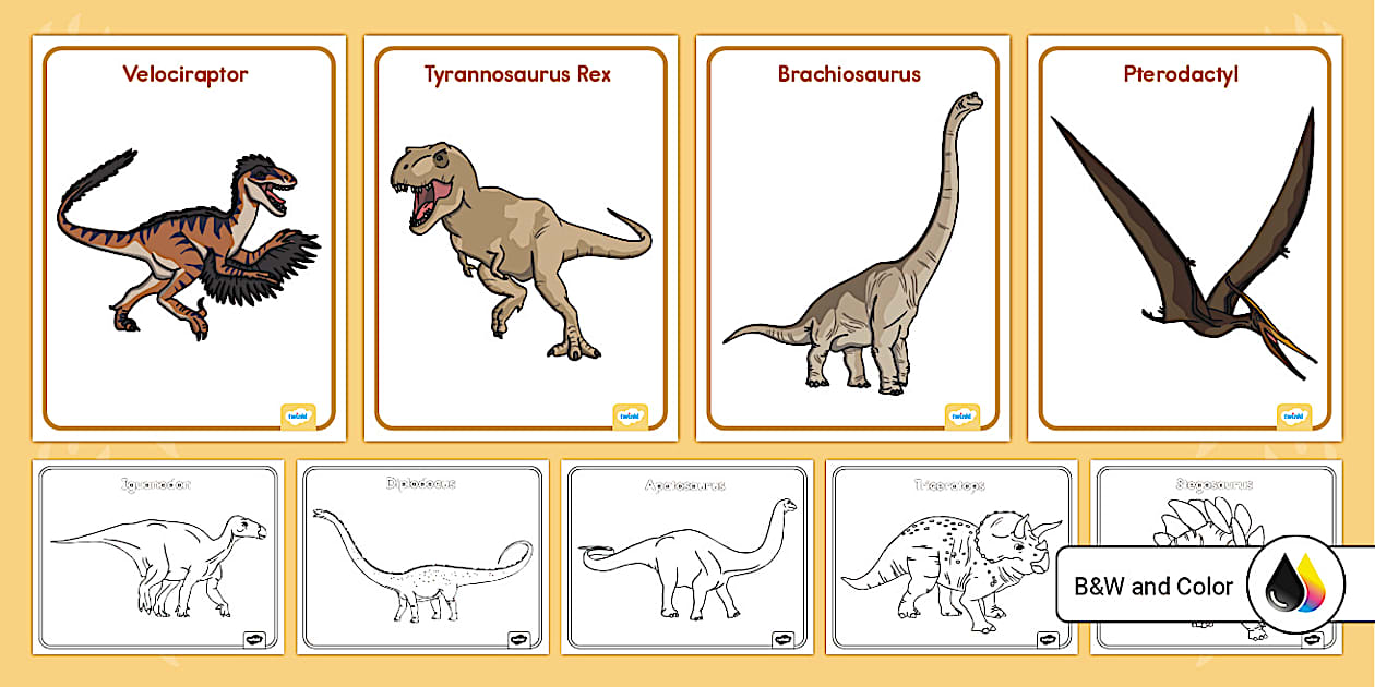 Printable Dinosaur Posters for Kids | Twinkl USA