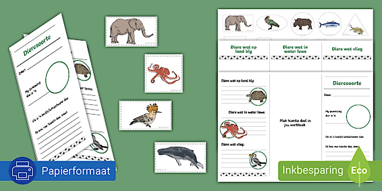 Diere Soorte Pamflet Aktiwiteit (Hecho por educadores)