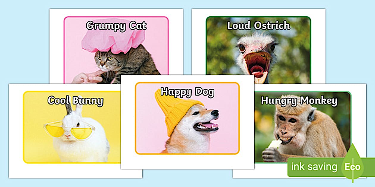 Silly Animals with Emotions Pictures | Teaching Resources