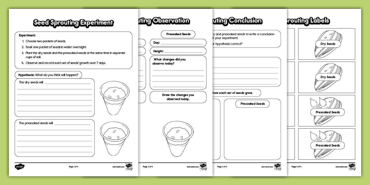Seed Sprouting Science Experiment for K-2nd Grade - Twinkl