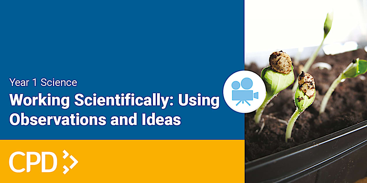 How to Teach Y1 about Using Observations and Ideas Video CPD