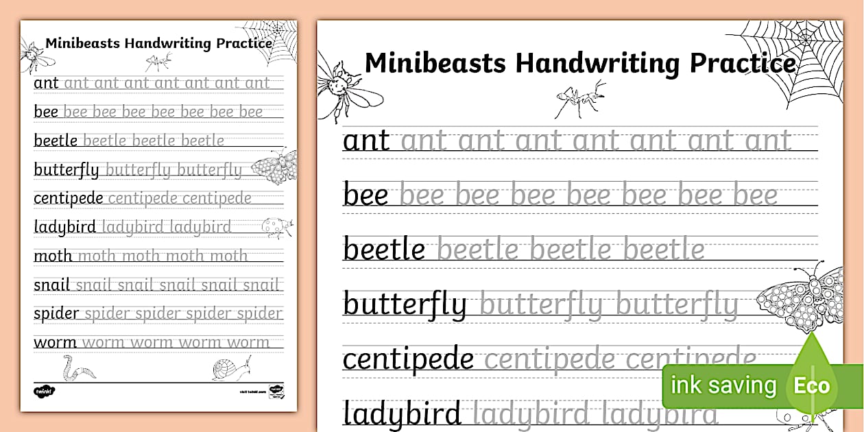 Minibeasts Handwriting Practice Sheet - Twinkl