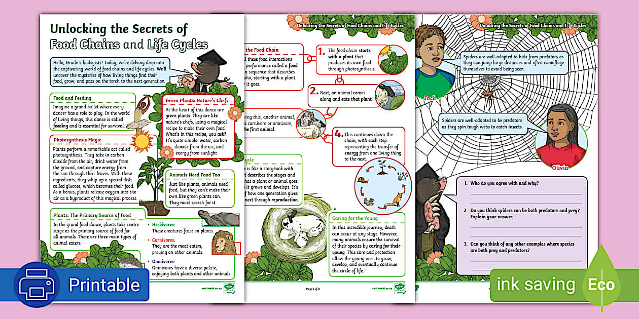 Unlocking the Secrets of Food Chains and Life Cycles