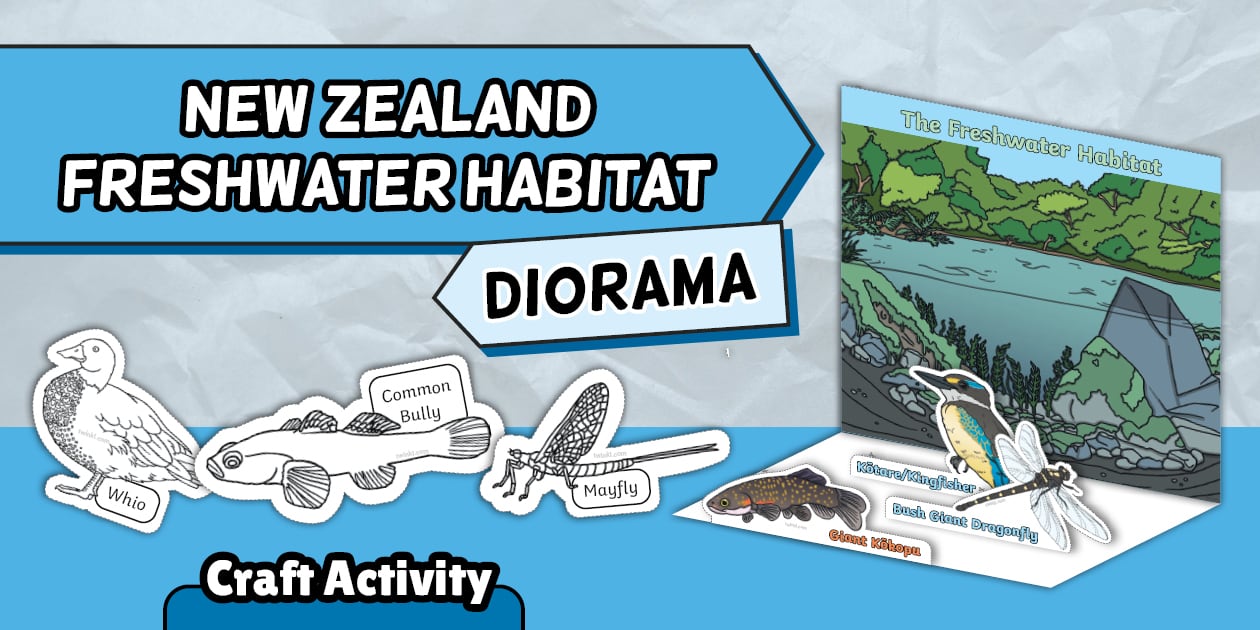 New Zealand Freshwater Habitat Diorama