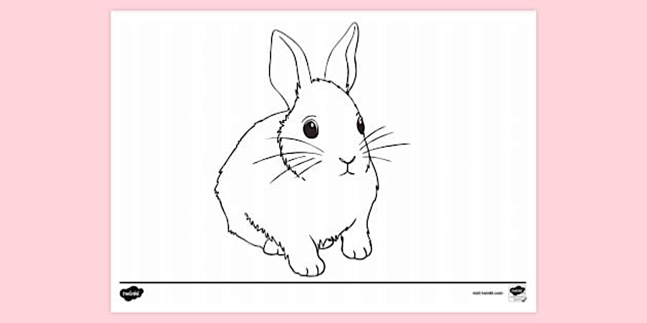 Baby Rabbit Colouring Sheet | Colouring Sheets | Twinkl