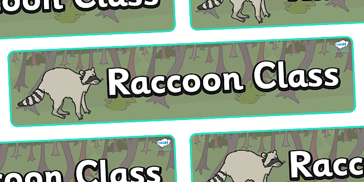 Raccoon Themed Classroom Display Banner (teacher made)