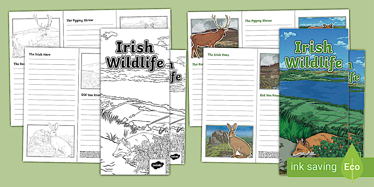 Wildlife in Ireland Leaflet Template (Teacher-Made) - Twinkl