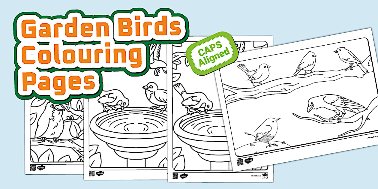 * NEW * Foundation Phase Life Skills - Garden Birds Colouring Pages