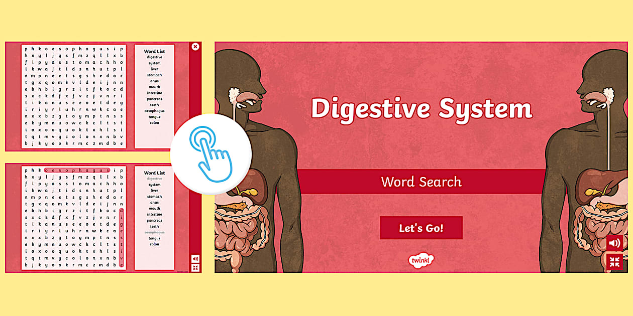Interactive Digestive System Word Search | Twinkl Go!