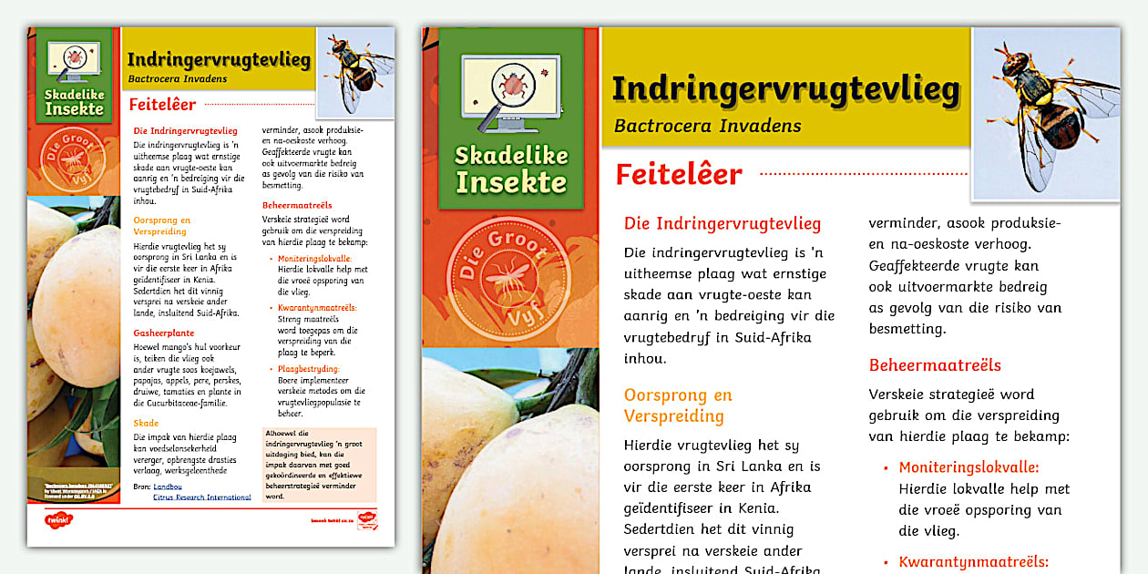 Skadelike Insekte: Die Groot Vyf - Indringervrugtevlieg