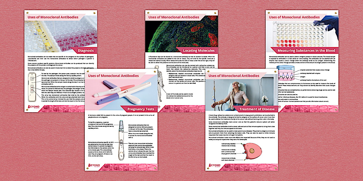 Uses of Monoclonal Antibodies Information Posters | Beyond