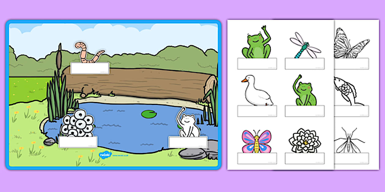 Pond Themed Self-Registration Chart and Labels - Twinkl
