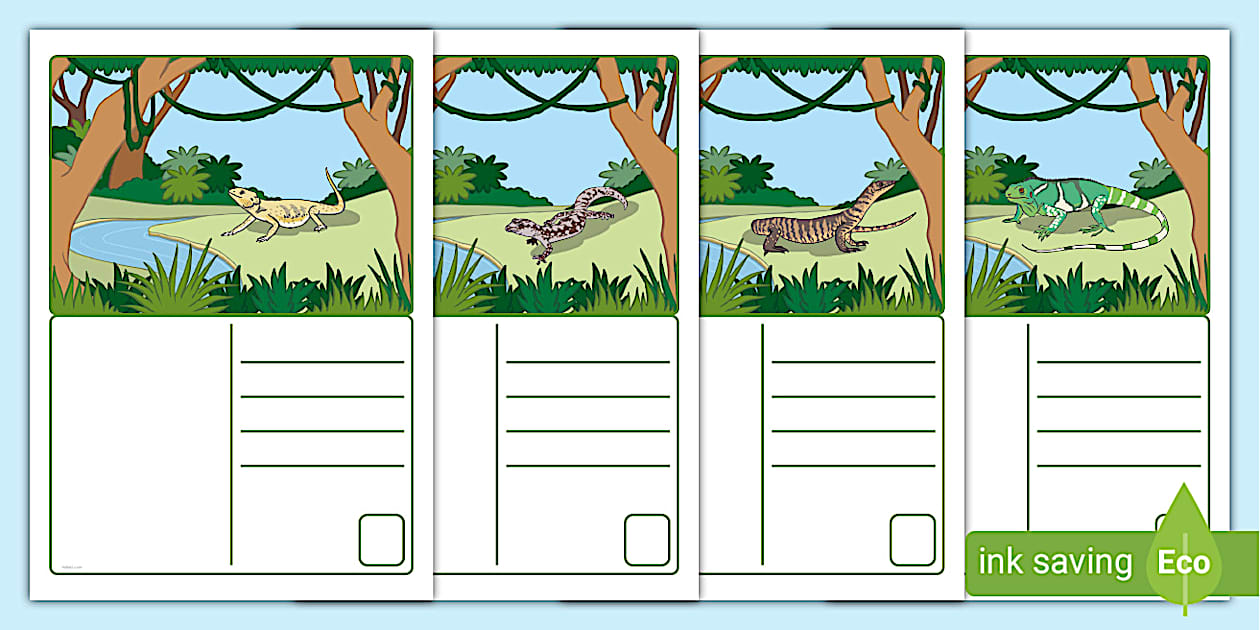 Lizard Themed Postcards (professor feito) - Twinkl