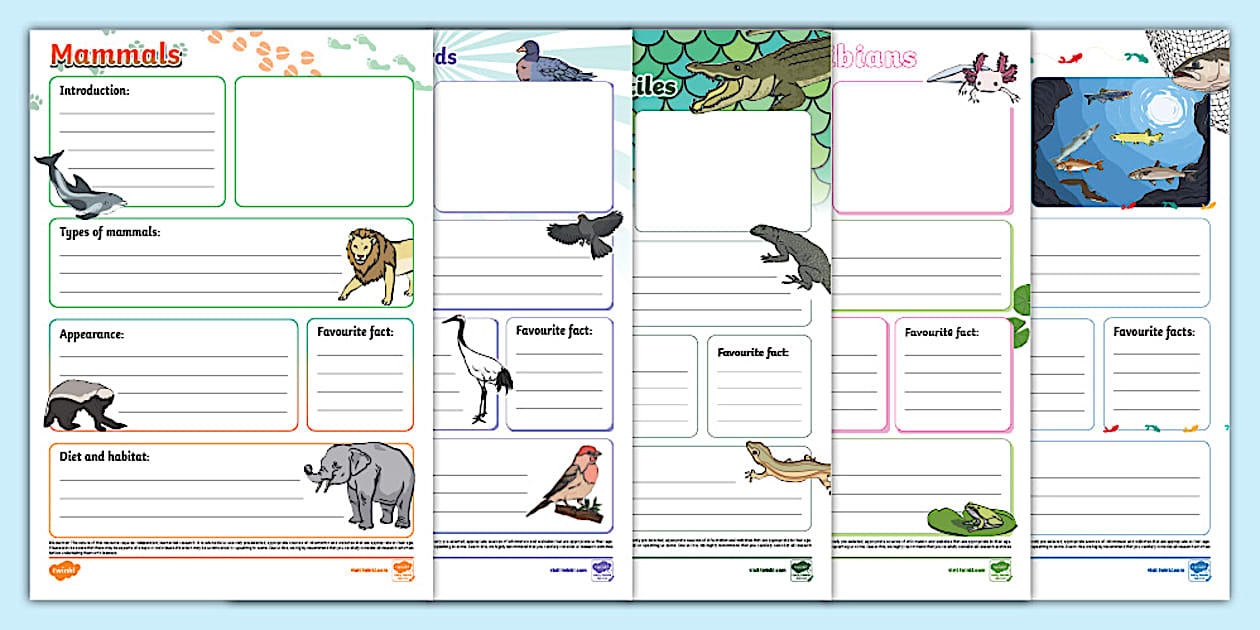 Animal Groups Non-Chronological Report Template Pack