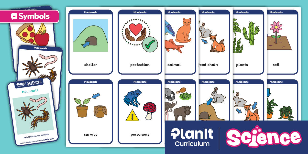 Twinkl Symbols: PlanIt Science: Minibeasts: Flashcards
