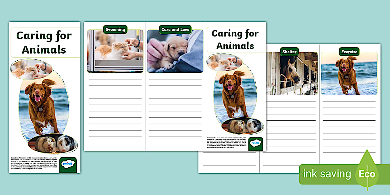 Caring for Animals Leaflet Template (teacher made) - Twinkl