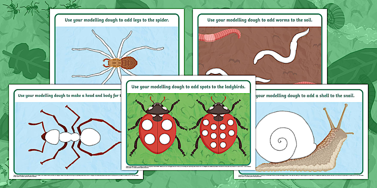 Minibeasts Complete the Picture Modelling Dough Mats