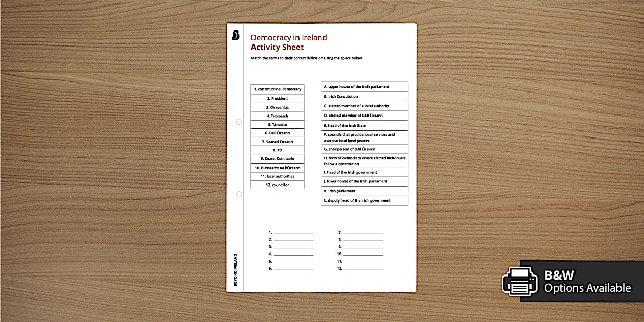 Democracy in Ireland Activity (teacher made) - Twinkl