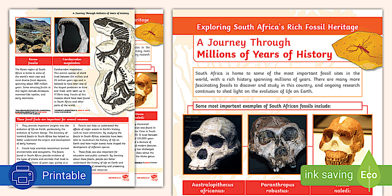 Exploring South Africa's Rich Fossil Heritage (Teacher-Made)