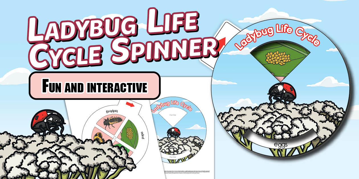 Ladybug Life Cycle Spinner