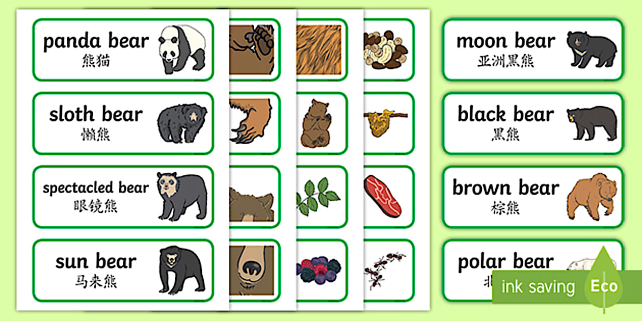 Bears Word Cards - English/Mandarin Chinese