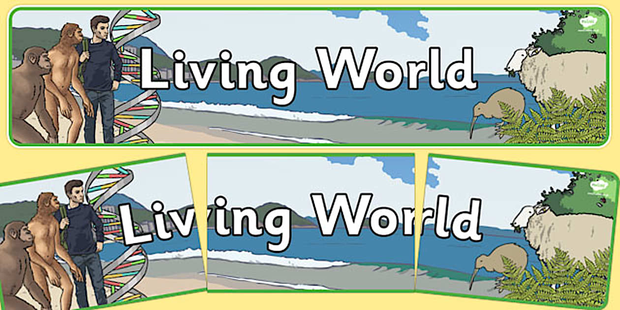 Living World Display Banner NZ