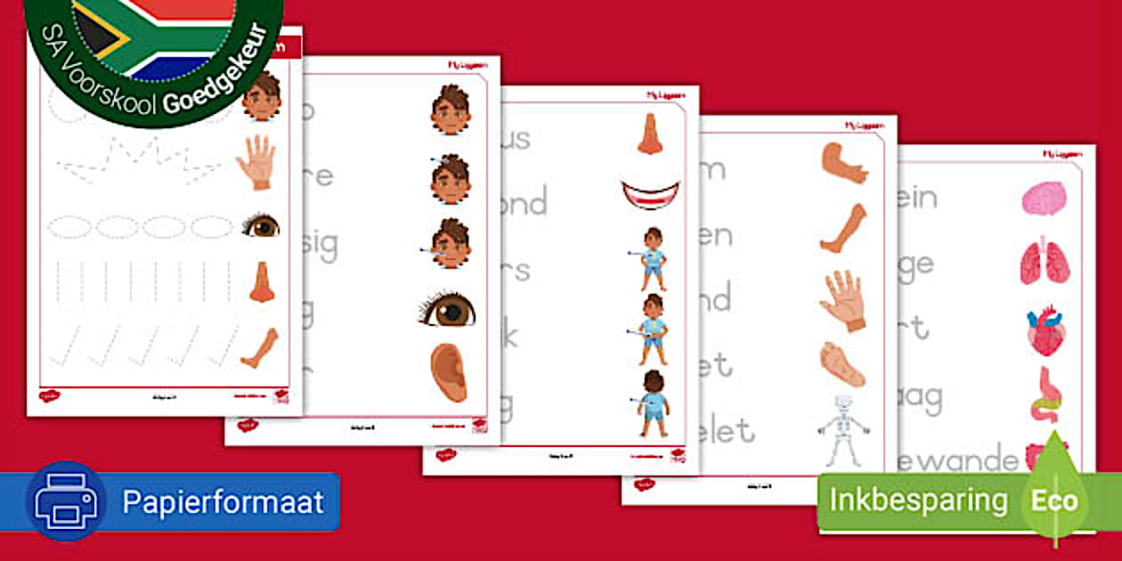 My Liggaam: Handskrif Aktiwiteitbladsye - Twinkl