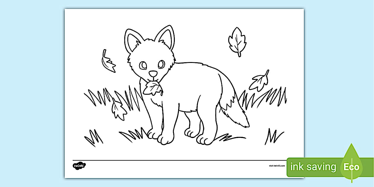Baby Fox Colouring Sheet - Primary Resources (teacher made)