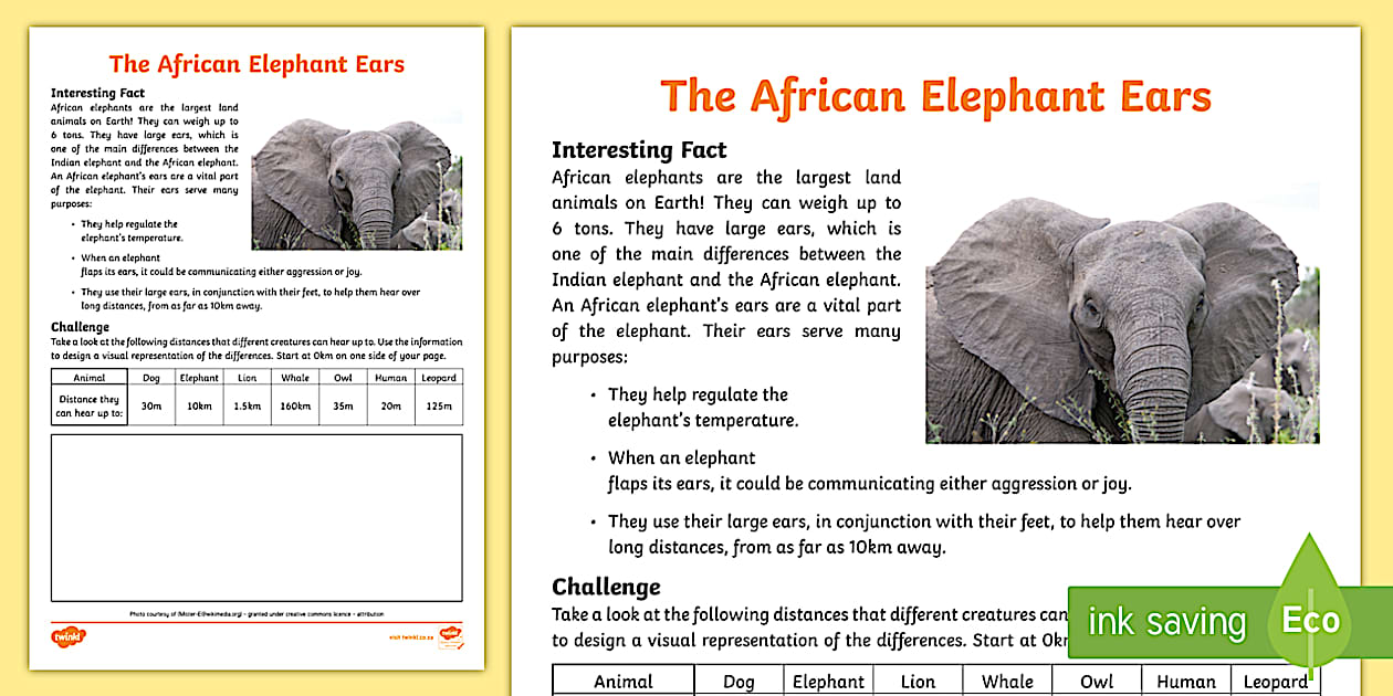 African Elephant Ears Worksheet / Worksheet (teacher made)