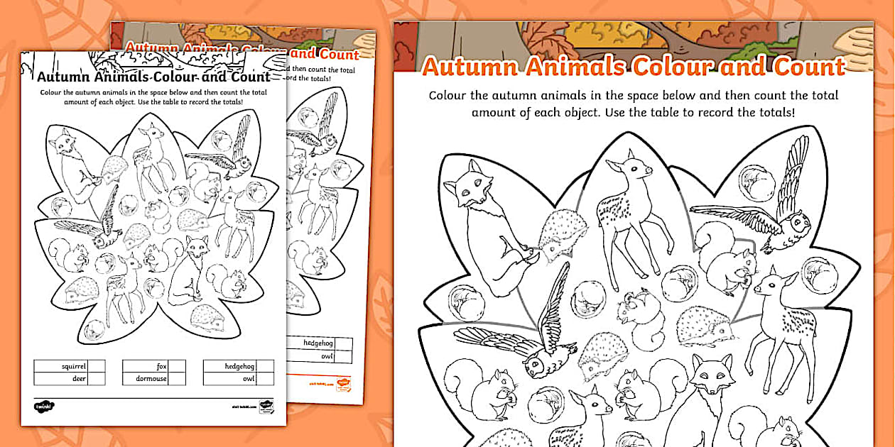 👉 Autumn Animals Colour and Count Activity Sheet - Twinkl
