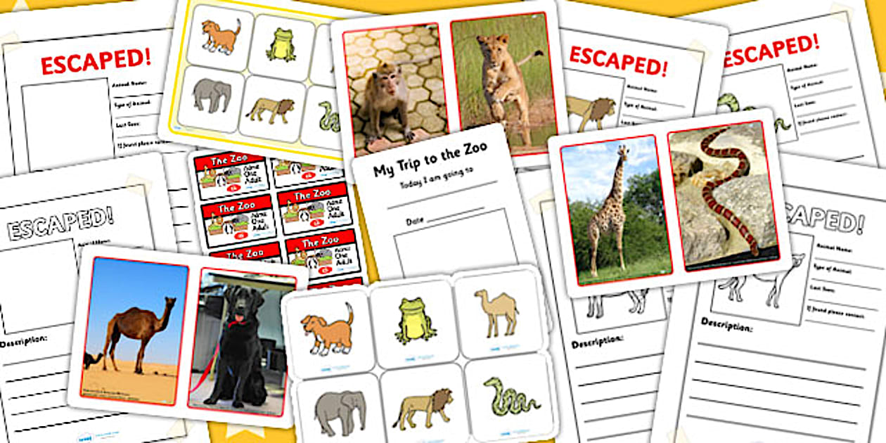 Zoo Activity Pack (teacher made) - Twinkl