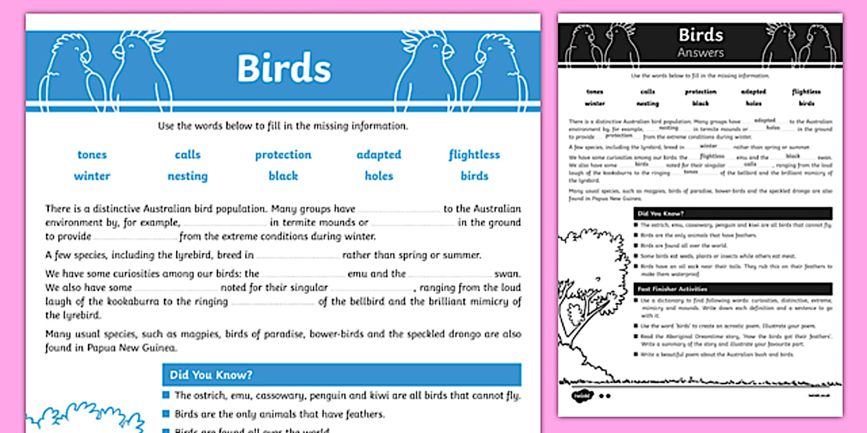 Australian Animals Years 3-6 Birds Differentiated Cloze Passage Worksheet