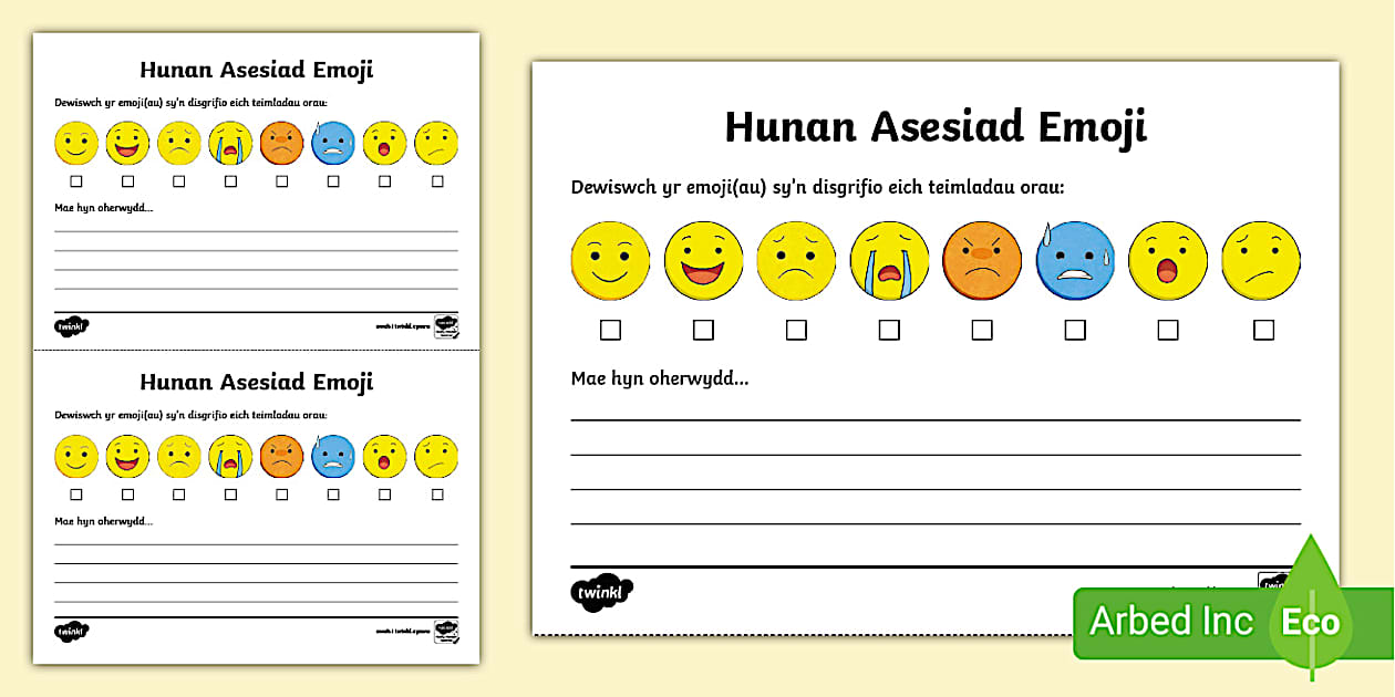 😊 Taflen Hunan Asesiad Emoji (Teacher-Made) - Twinkl