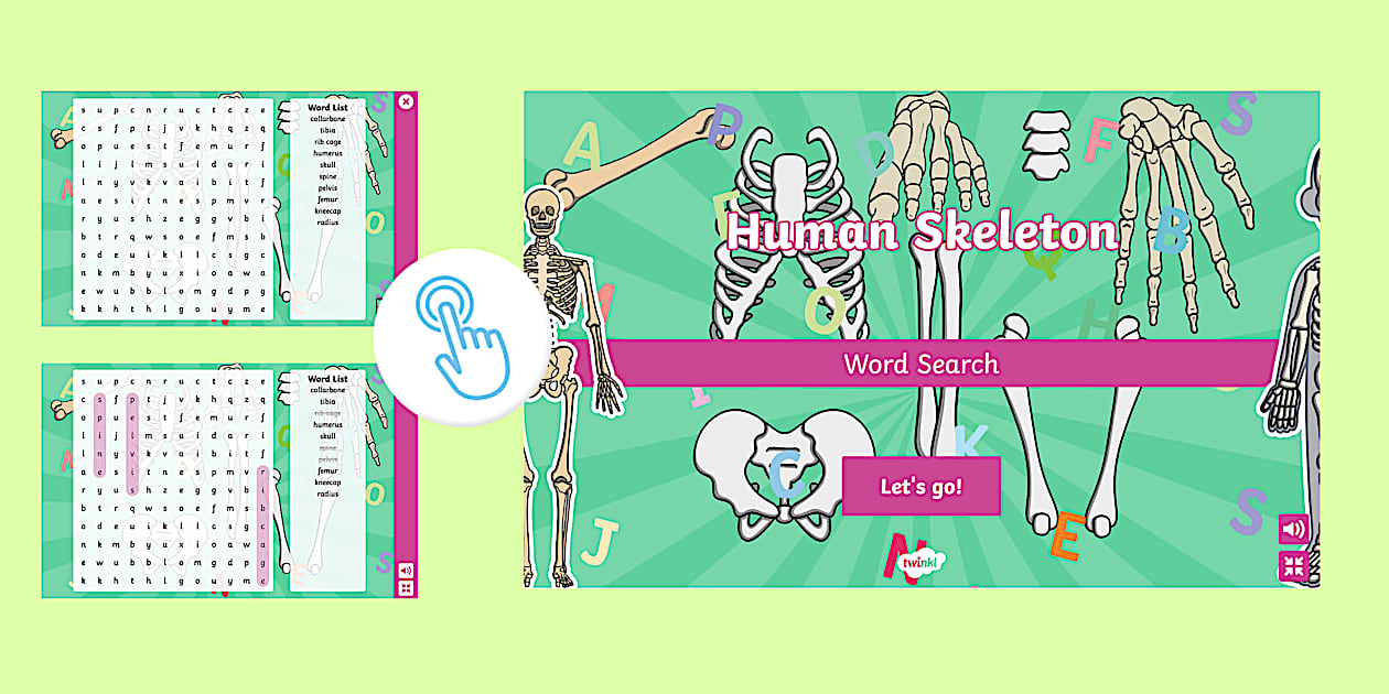 * NEW * KS1 Human Skeleton Interactive Word Search - Twinkl
