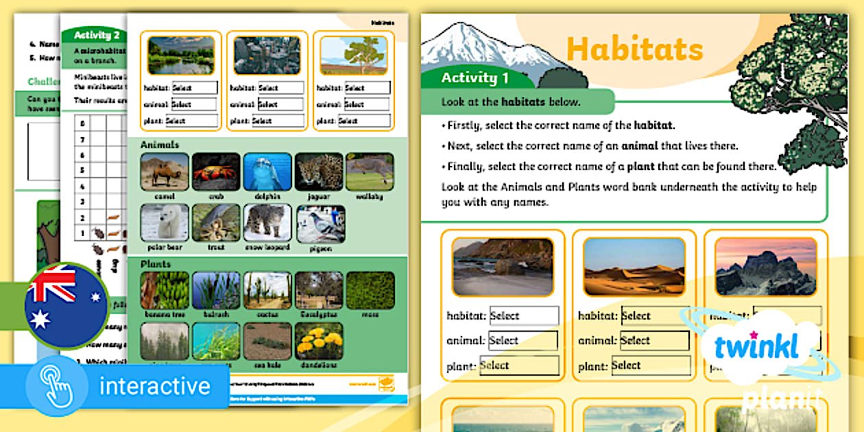 Year 1 Science Living Things and Their Habitats Interactive Activity