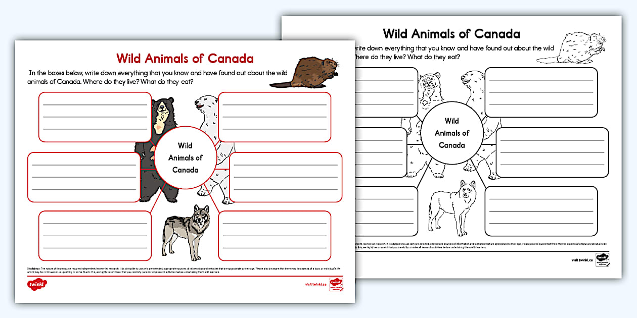 Wild Animals of Canada Mind Map - Twinkl Writing