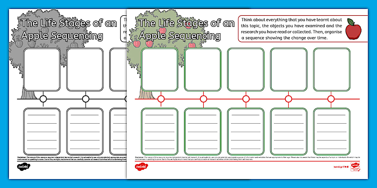 The Life Stages of an Apple Sequencing Worksheet - Twinkl