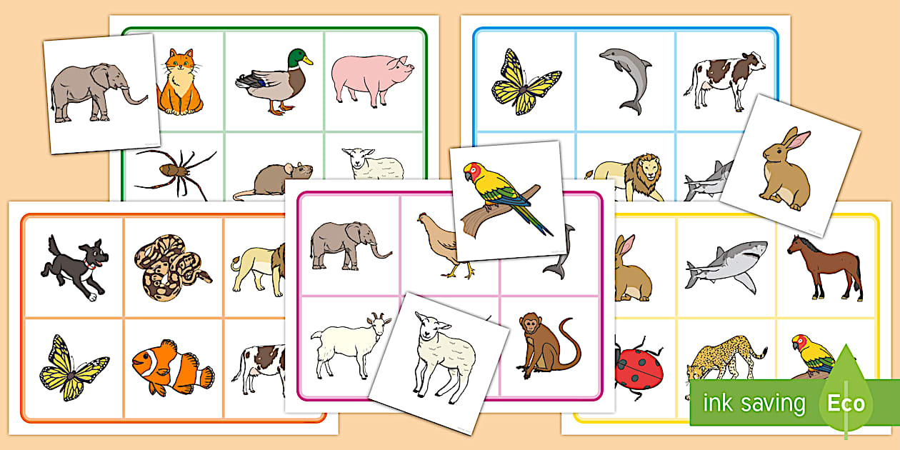 Animal Bingo and Lotto Game | Printable | Teacher-made