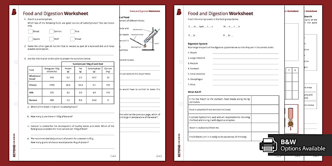Food and Digestion Resource Pack - Beyond Science - Twinkl